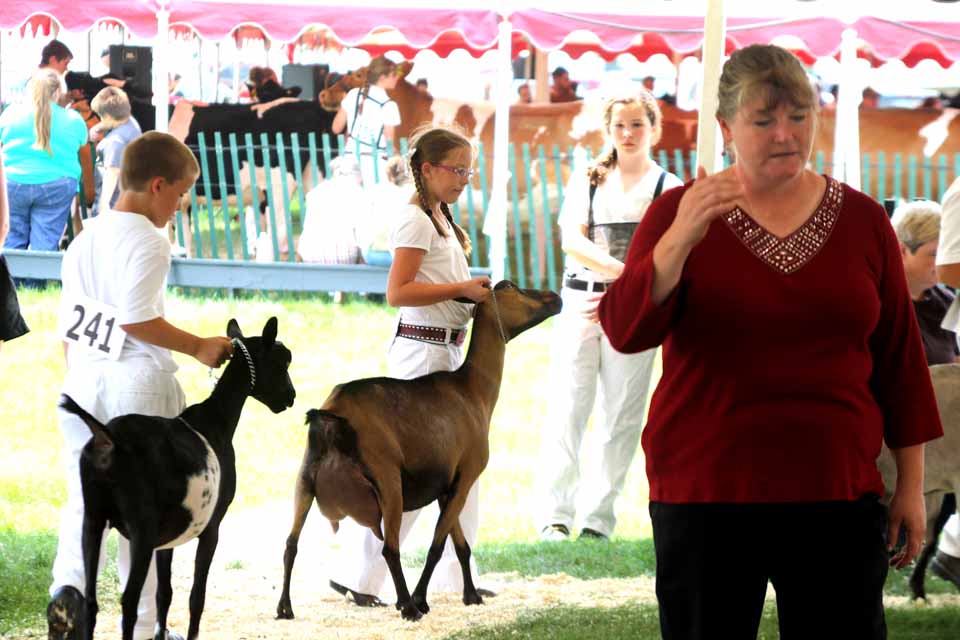Hundreds Of Young Handlers Compete At Jr. Livestock Show – All Otsego