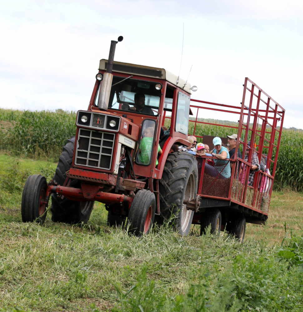 Family Farm Days Showcases Area Agriculture – All Otsego