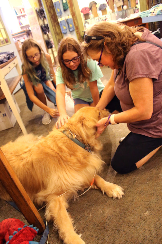 Love Of Henry Creates T-Shirts, Stickers, More | AllOTSEGO.com