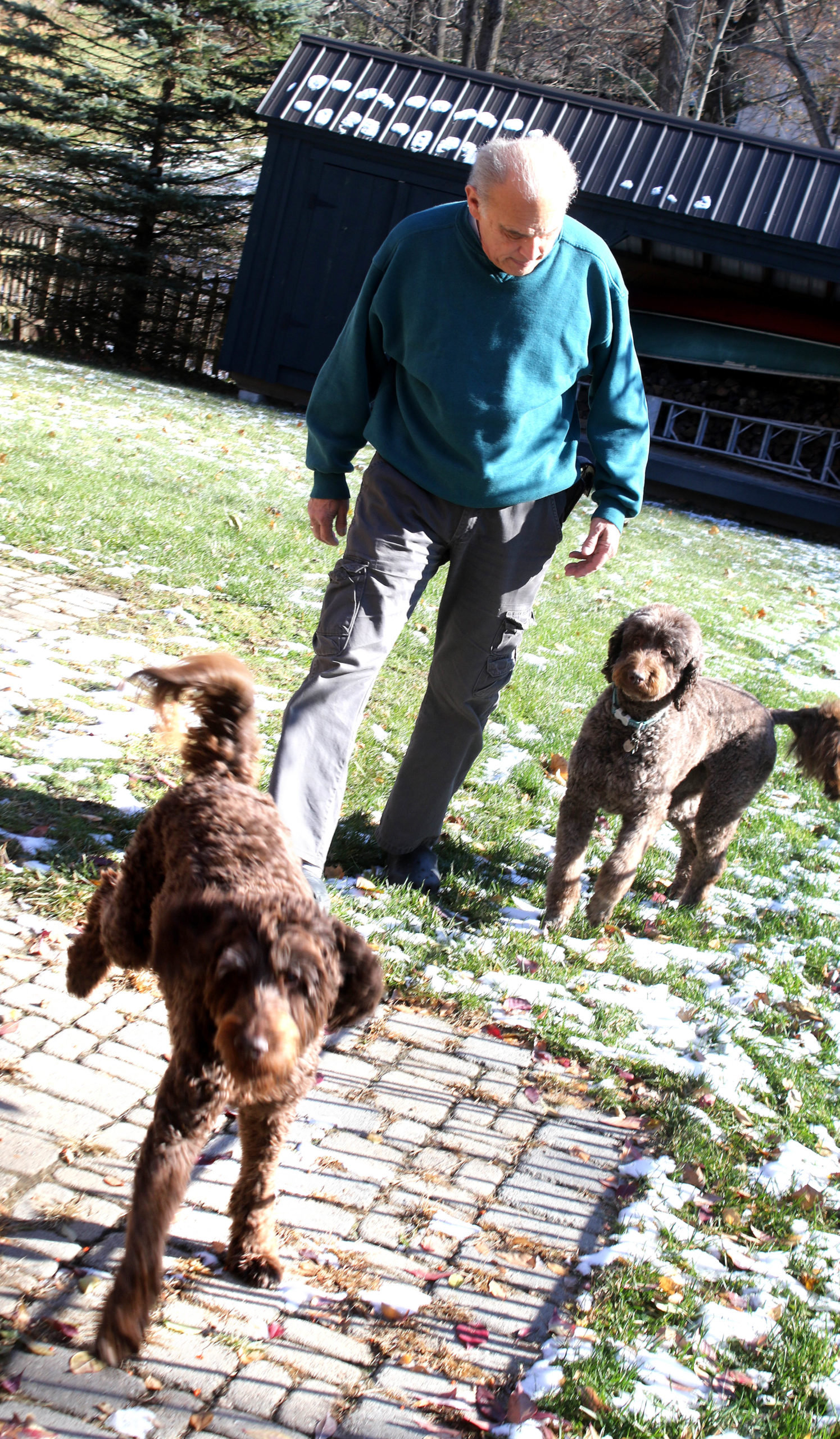 Adopt SSPCA Dog? Nationally Known Expert Will Train It – All Otsego