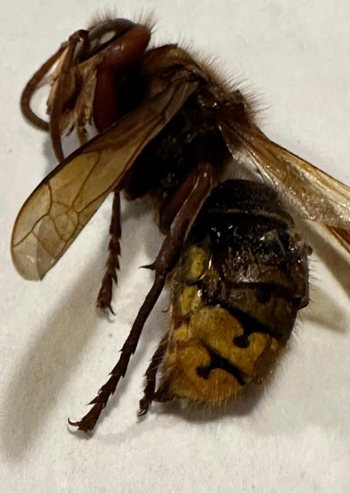 Teamwork Saved Bus Driver’s Life, Inspired Student Project – All Otsego