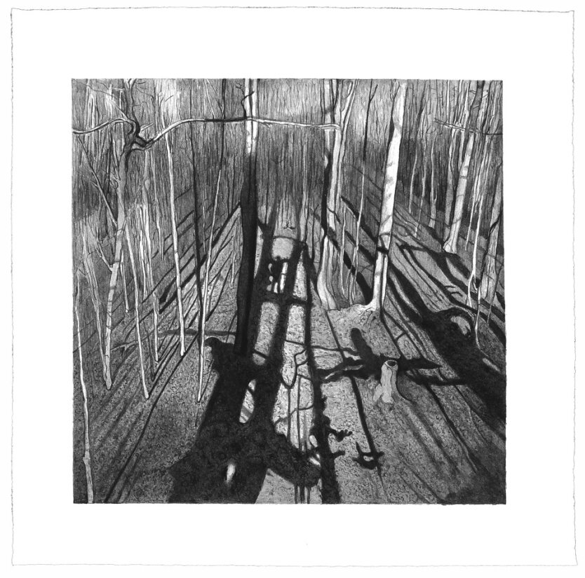 Gallery Announces Three New Exhibits – All Otsego