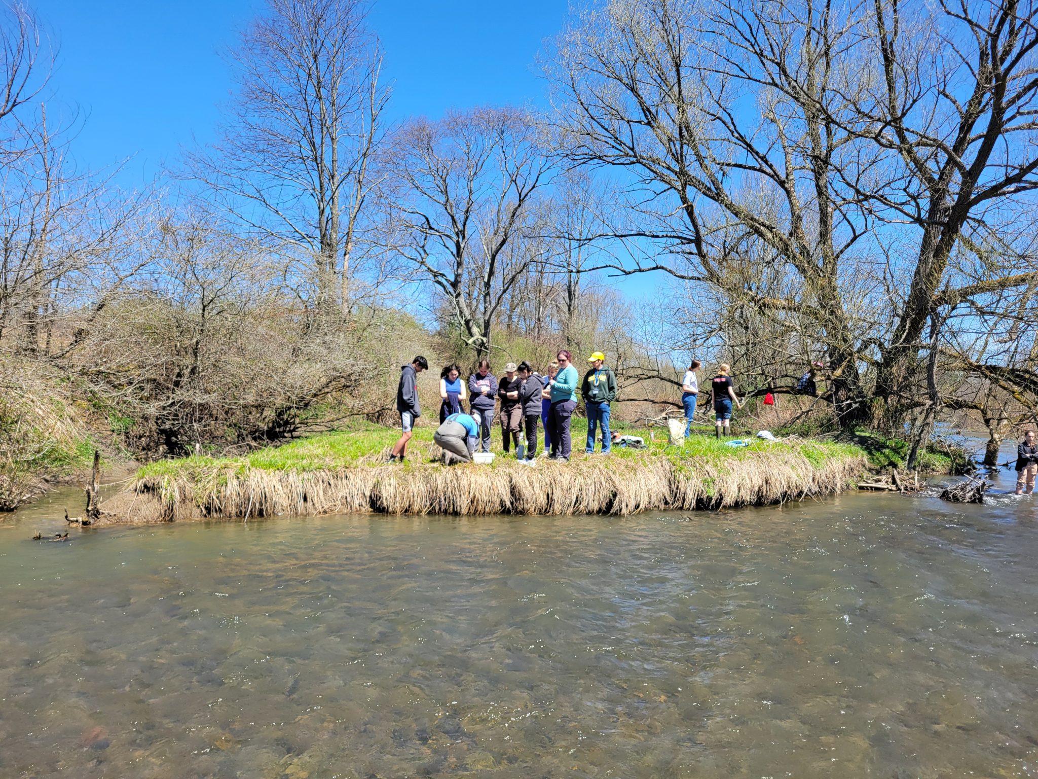 Morris School Students Assist with Stream Corridor Restoration – All Otsego